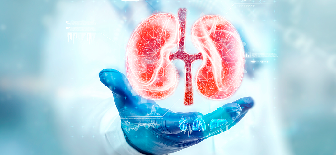 Você sabe como melhorar a função renal? - Clinirim